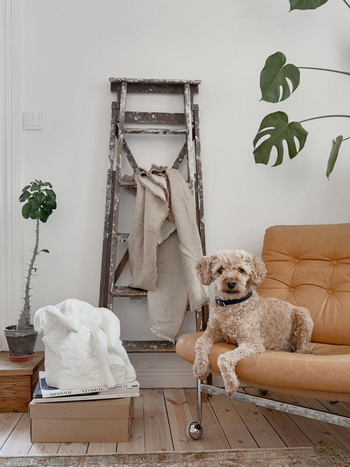 Scandinavian Bohemian Interior – Design Studio 210
