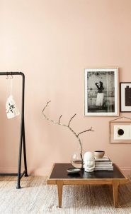 Apricot Living Room Decor Ideas [Top 6 Tips]
