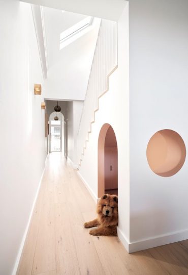 Luxury Dog Room Ideas [Pinterest Trend]