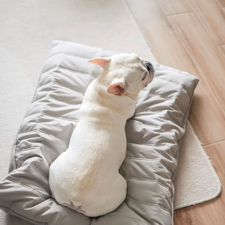 12 Stylish Dog Beds with a Minimal Style [2024 Trend] – Design Studio 210